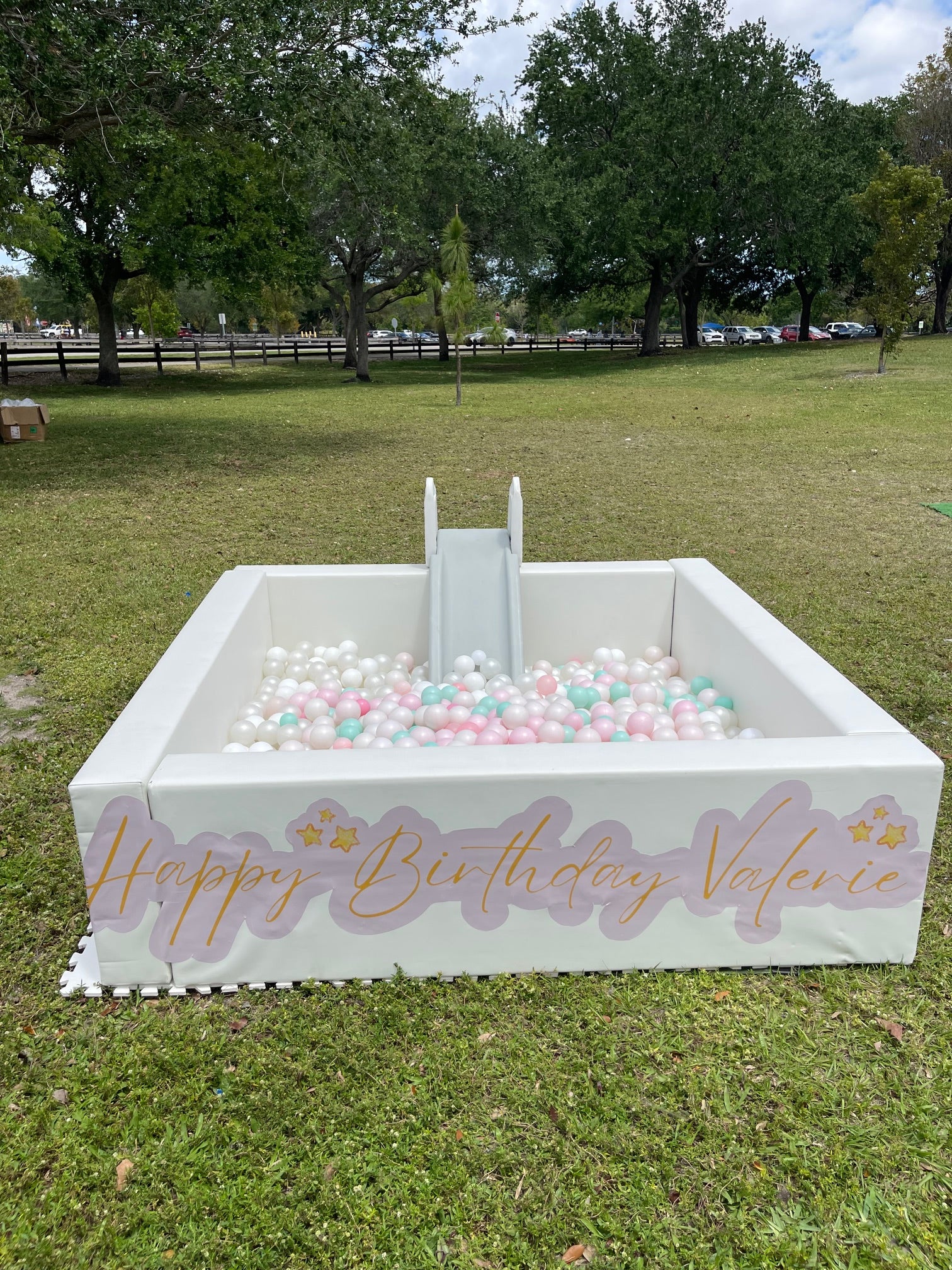 Ball Pits – Deluxe Bounce House