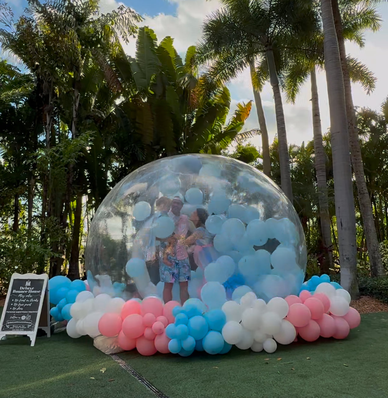 Gender reveal Bubble House - BOOK NOW / DELIVERY MIAMI AND BROWARD ...