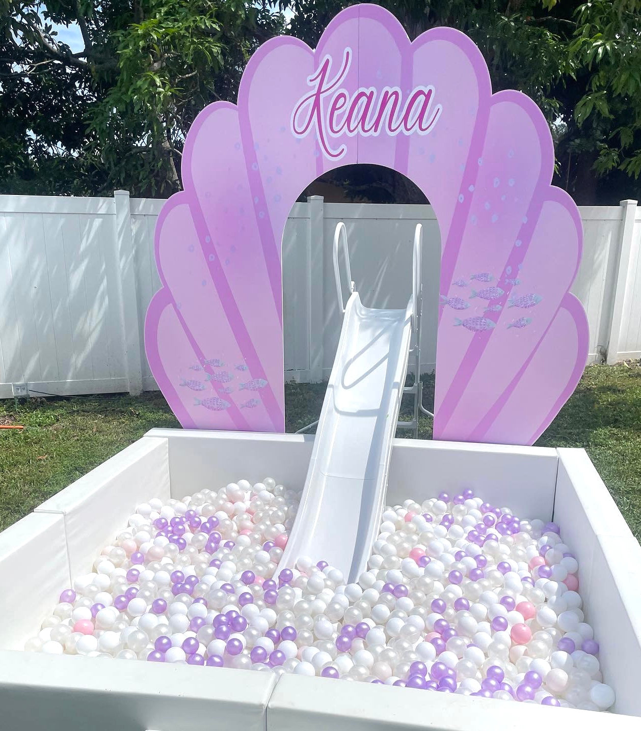 Ball Pits – Deluxe Bounce House