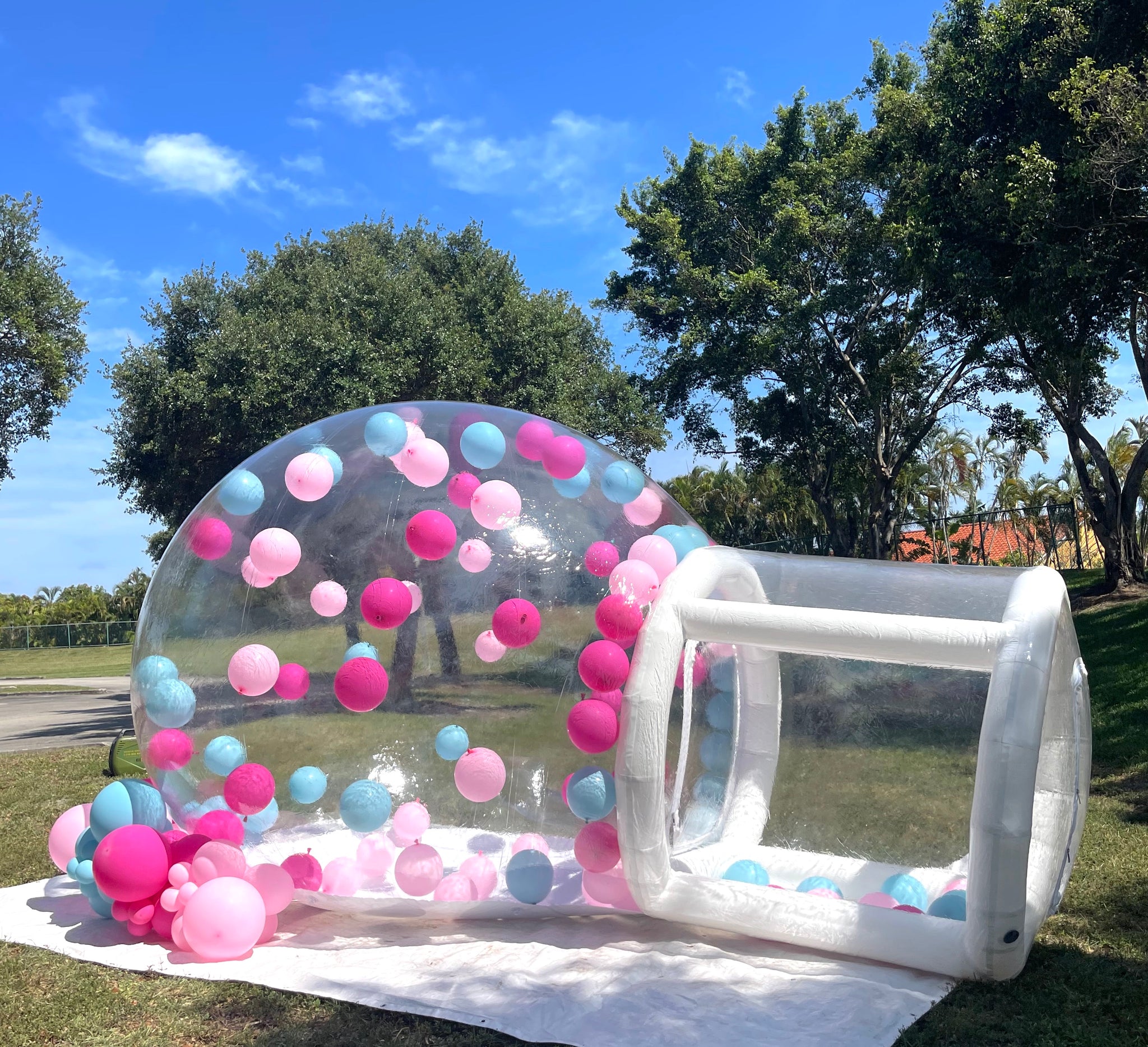 Bubble House - BOOK NOW / DELIVERY MIAMI AND BROWARD – Deluxe Bounce House